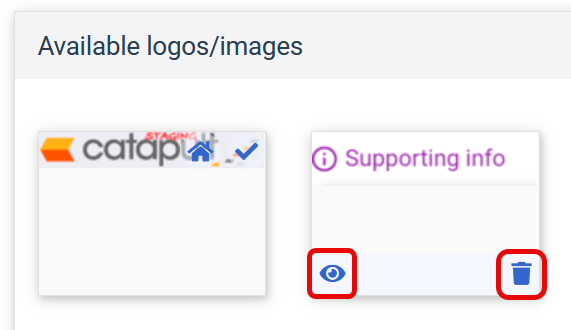 Branding your Catapult LMS – Catapult
